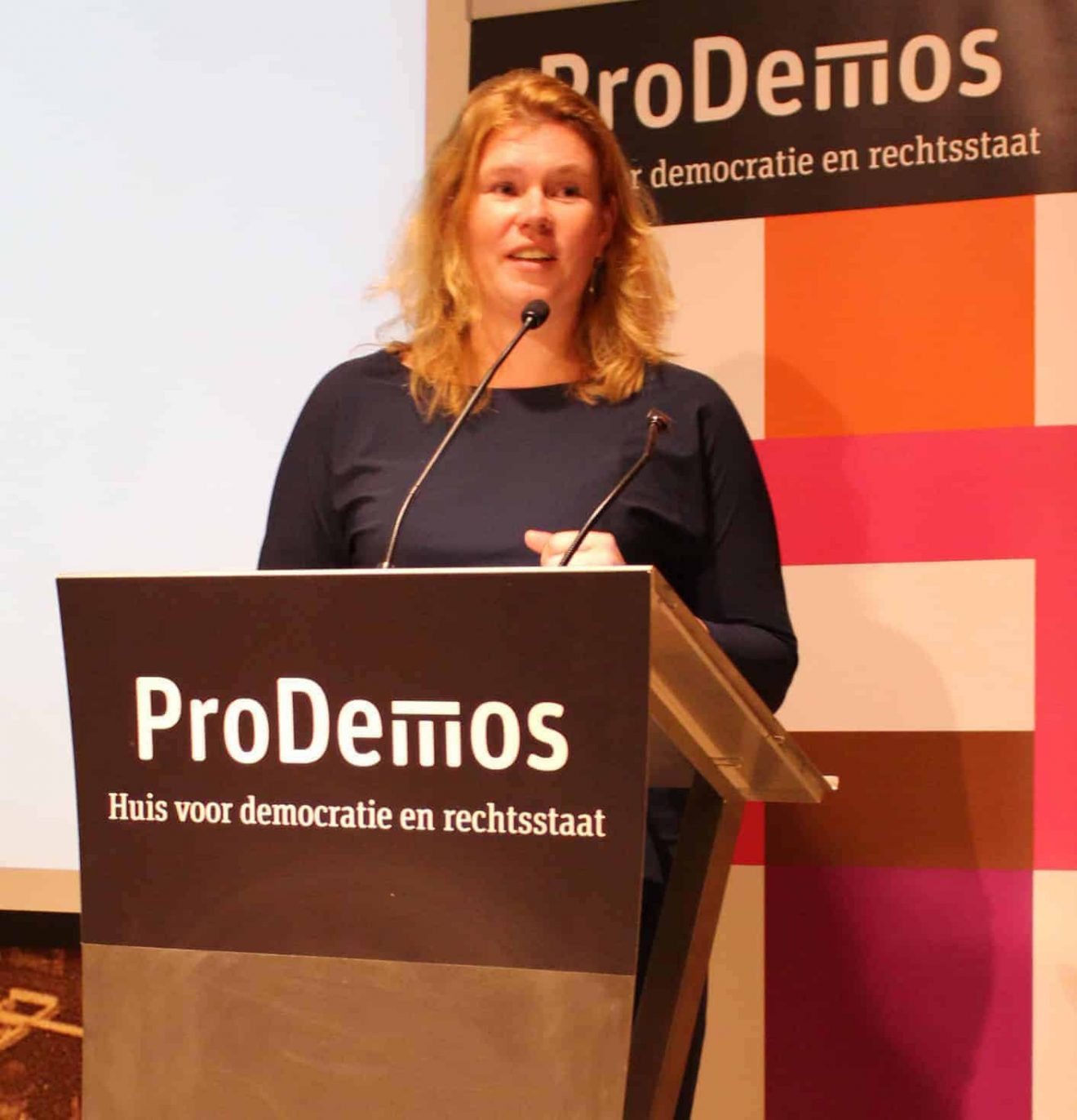 Verslag college 3 - Eefje Steenvoorden - ProDemos