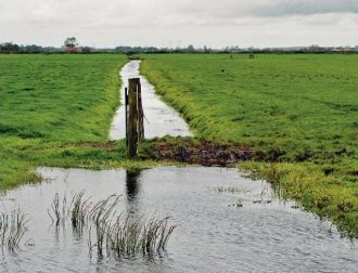 Wie bestuurt het waterschap? - ProDemos