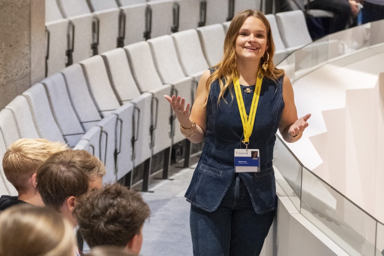 ProDemos presenteert met trots het jaarverslag over 2024 - ProDemos