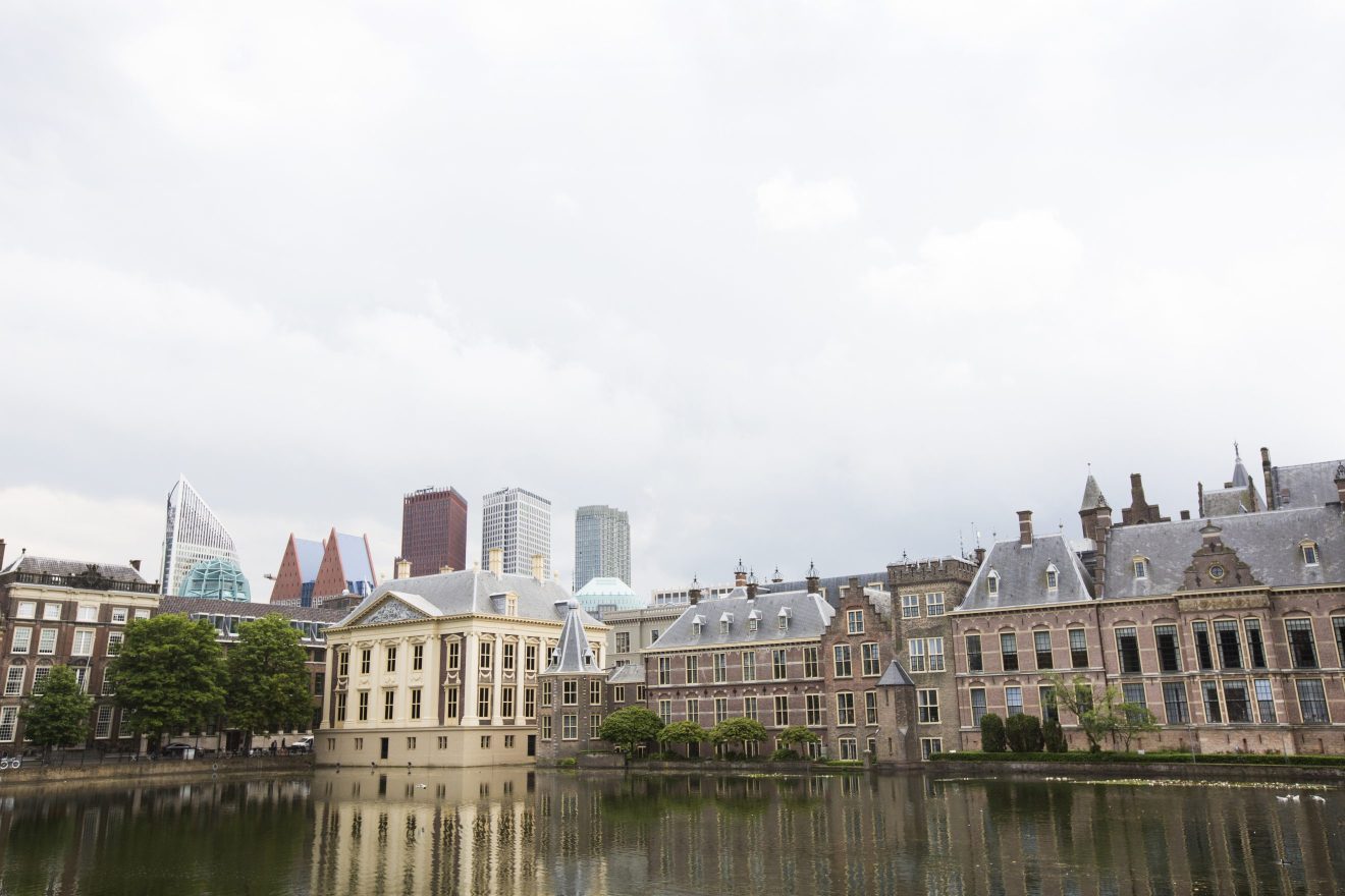 Doorgang activiteiten tijdens NAVO-top in Den Haag - ProDemos